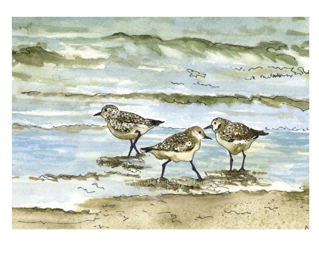 Sandpiper & Plover Watercolor Painting: Beach House Art Print - Etsy