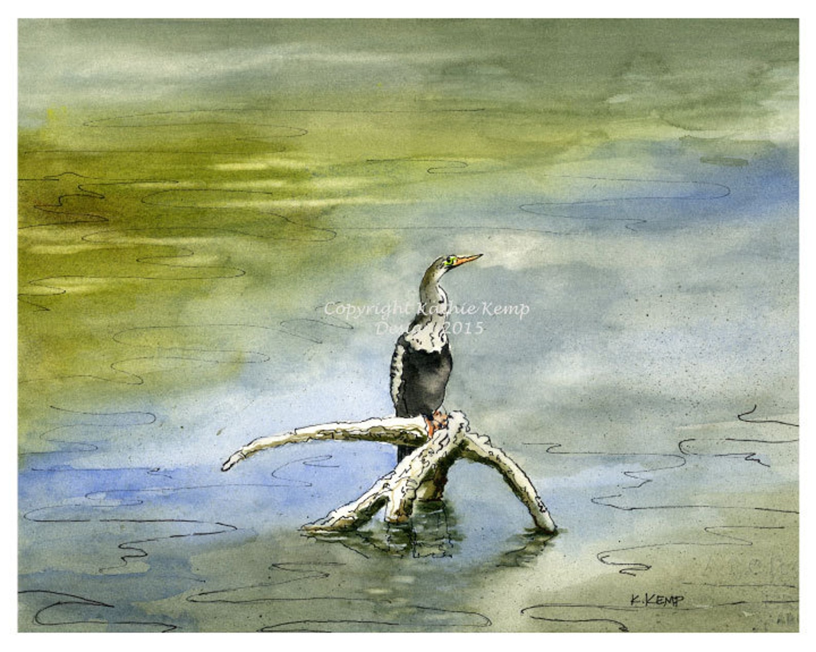 Tropical Beach House Wall Decor Cormorant Bird Pen and Ink Watercolor ...