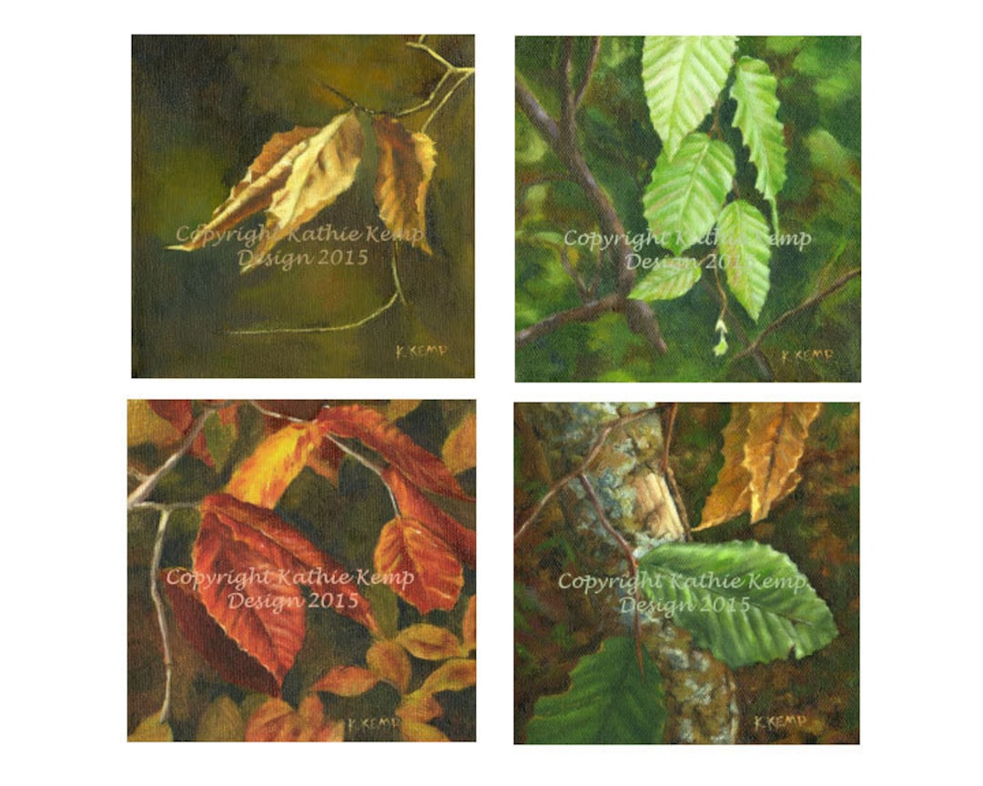 Four Seasons Beech Tree Prints: Woodland Oil Painting Art (6x6 Digital ...