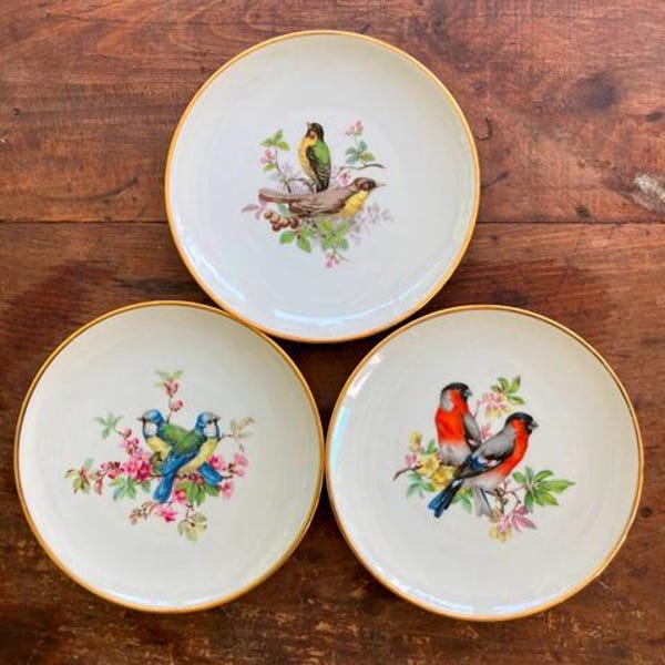 Bird Plates - Etsy