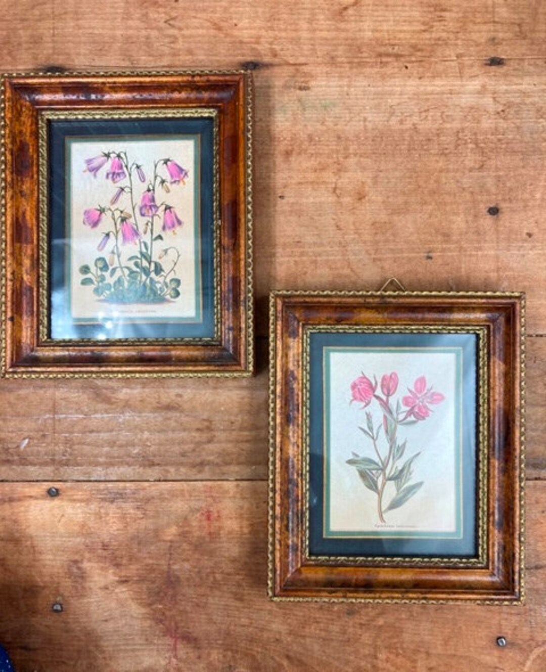 H Hal Kramer Chicago Antiqued Collection Miniature Botanical Prints ...