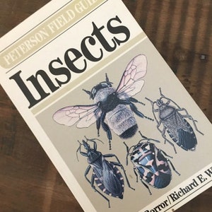 Insects Peterson Field Guides by Donald J Borror Richard E White ...