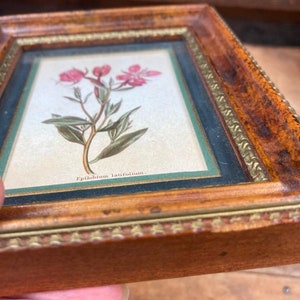 H Hal Kramer Chicago Antiqued Collection Miniature Botanical Prints ...