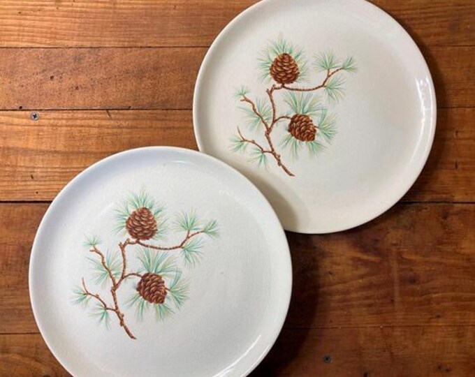 Vintage Pine Cone Plates French Saxon China Pinecone Plates Set of 2 ...