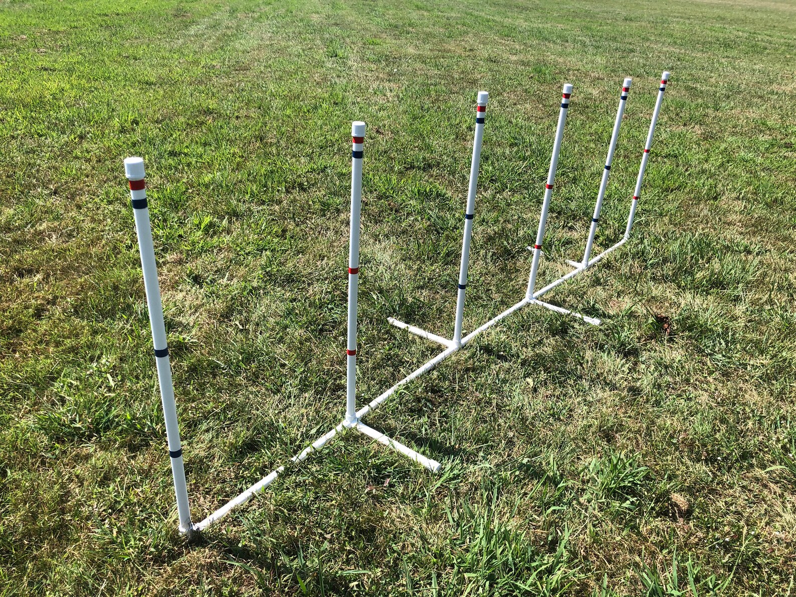 Dog Agility Equipment Lets Get Started Training Package: Weave | Etsy