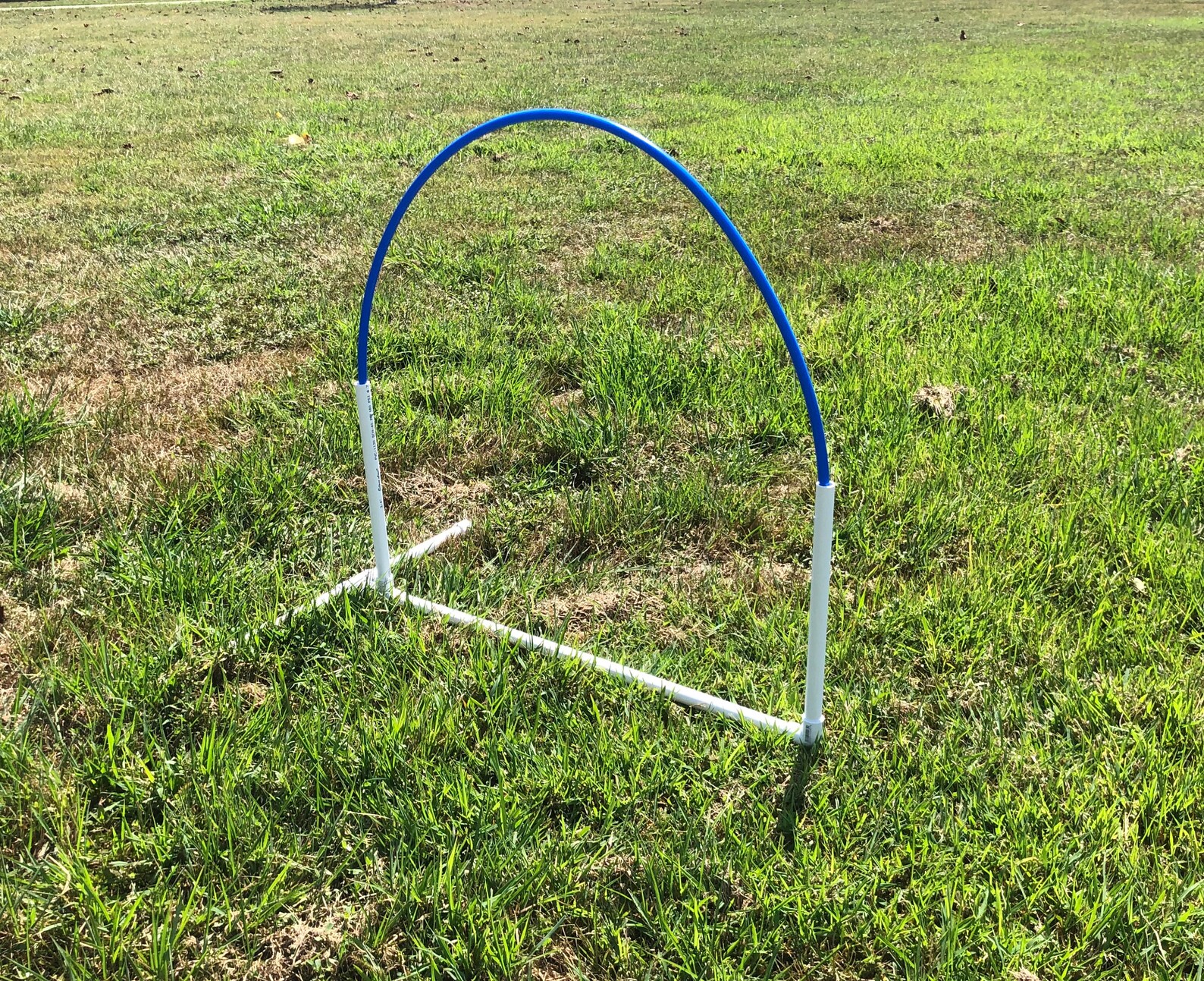 NADAC or CPE Speedway Dog Agility Equipment Hoop - Etsy