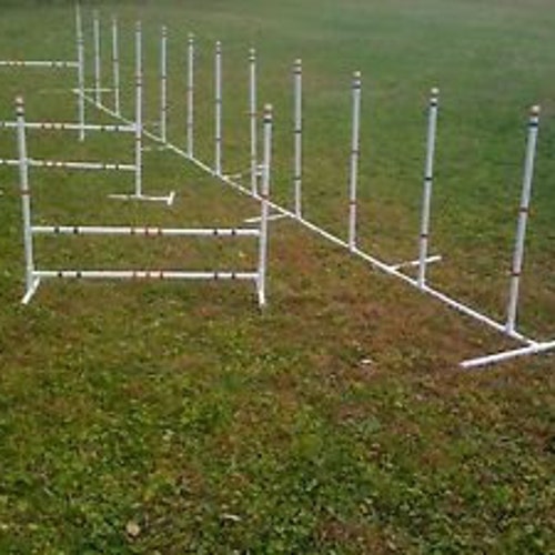 Dog Agility Equipment Training Bar Jump FREE US Shipping | Etsy
