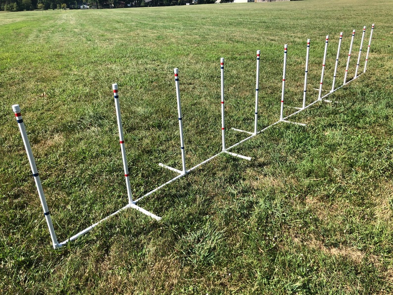 Dog Agility Training Weave Poles. Straight Fixed Portable | Etsy