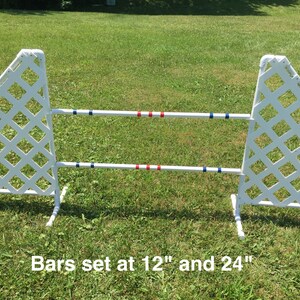 Dog Agility Training Wing Jump Slanted Style FREE US Shipping. Buy More ...