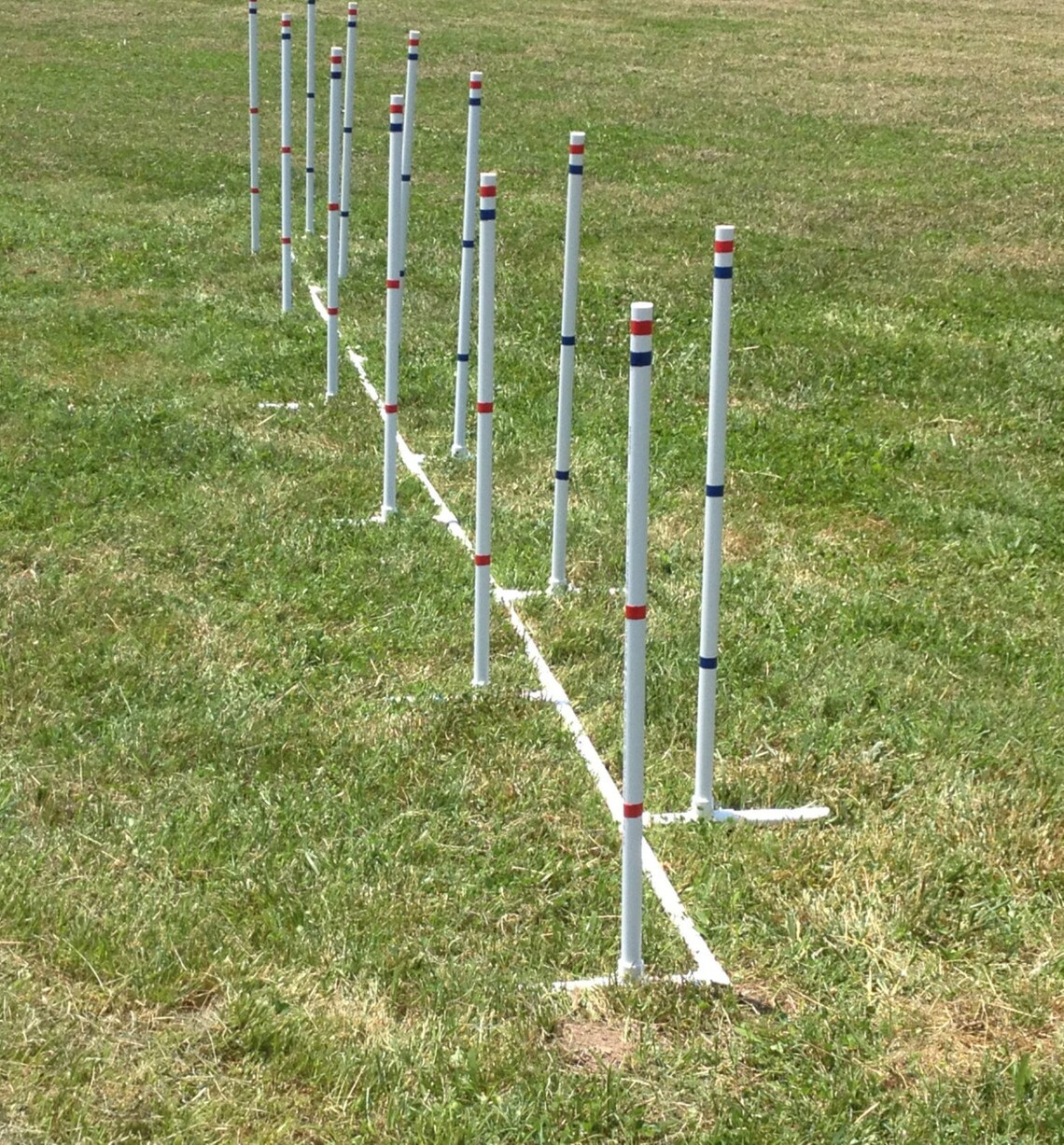 Ama-Zing Dog Agility Training Weave Poles Straight Slant | Etsy