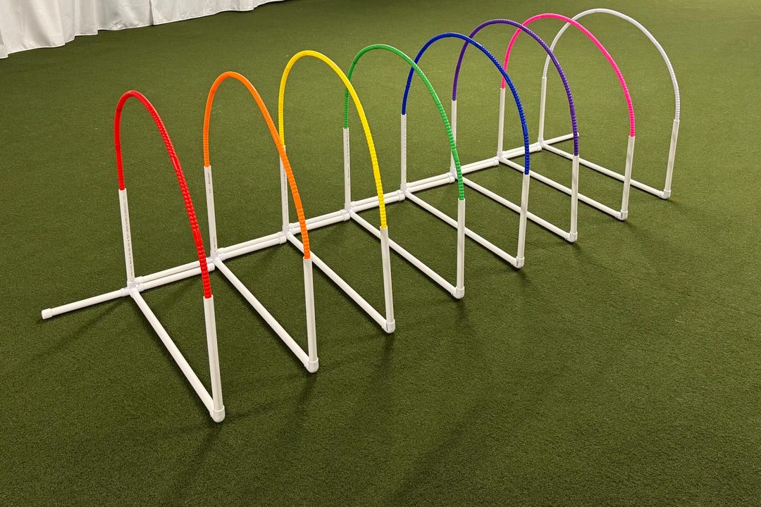 NADAC, CPE Speedway and Updog Agility Equipment Hoop **free US Shipping ...