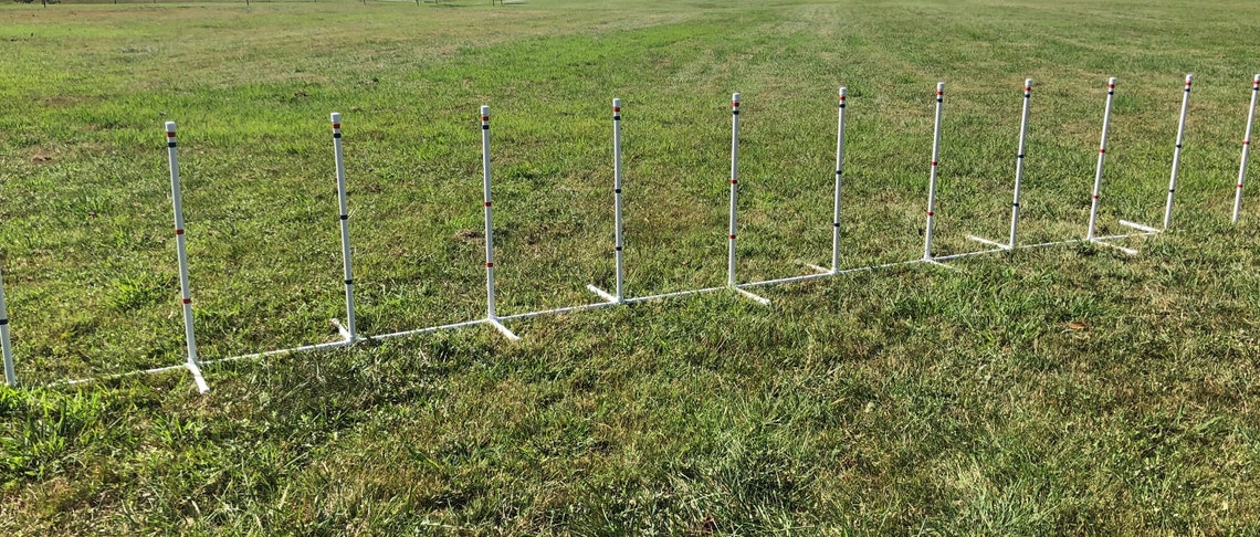 Dog Agility Training Weave Poles. Straight Fixed Portable | Etsy