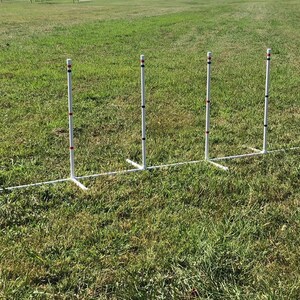 Dog Agility Training Weave Poles. Straight, Fixed, Portable, Durable ...