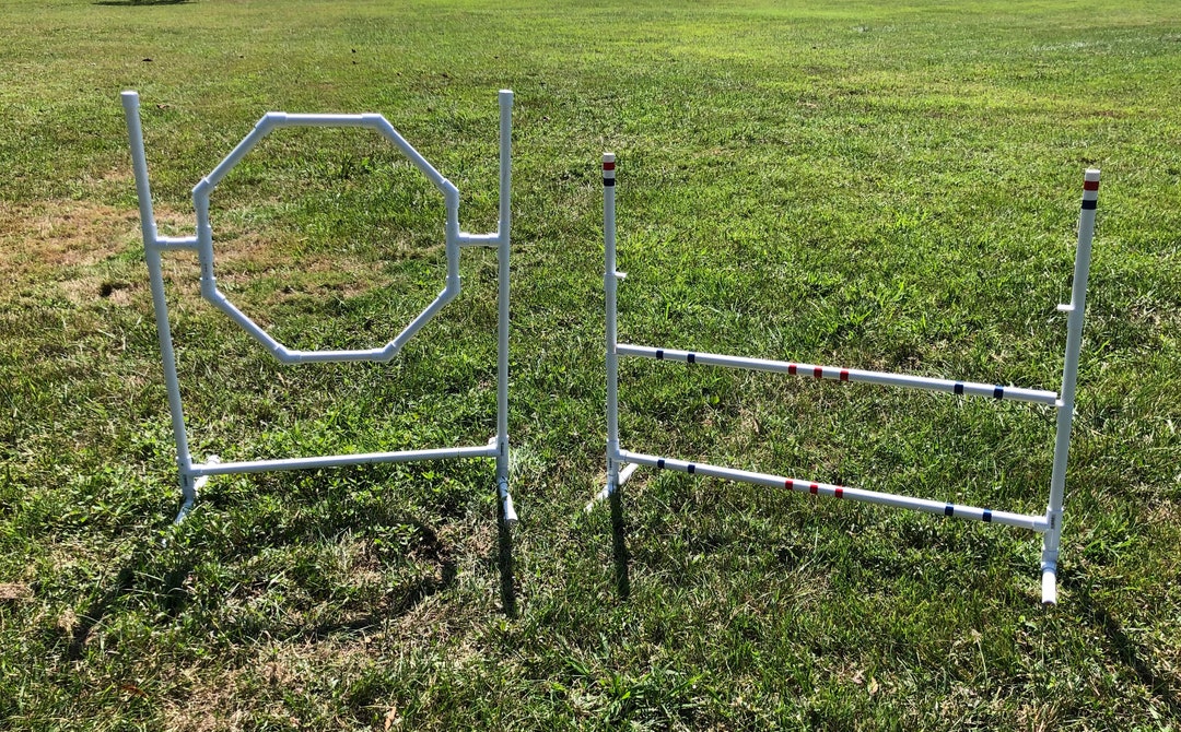Dog Agility Equipment Training Bar Jump and PVC Ring Jump FREE US ...