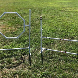 Dog Agility Equipment Training Bar Jump and PVC Ring Jump FREE US ...