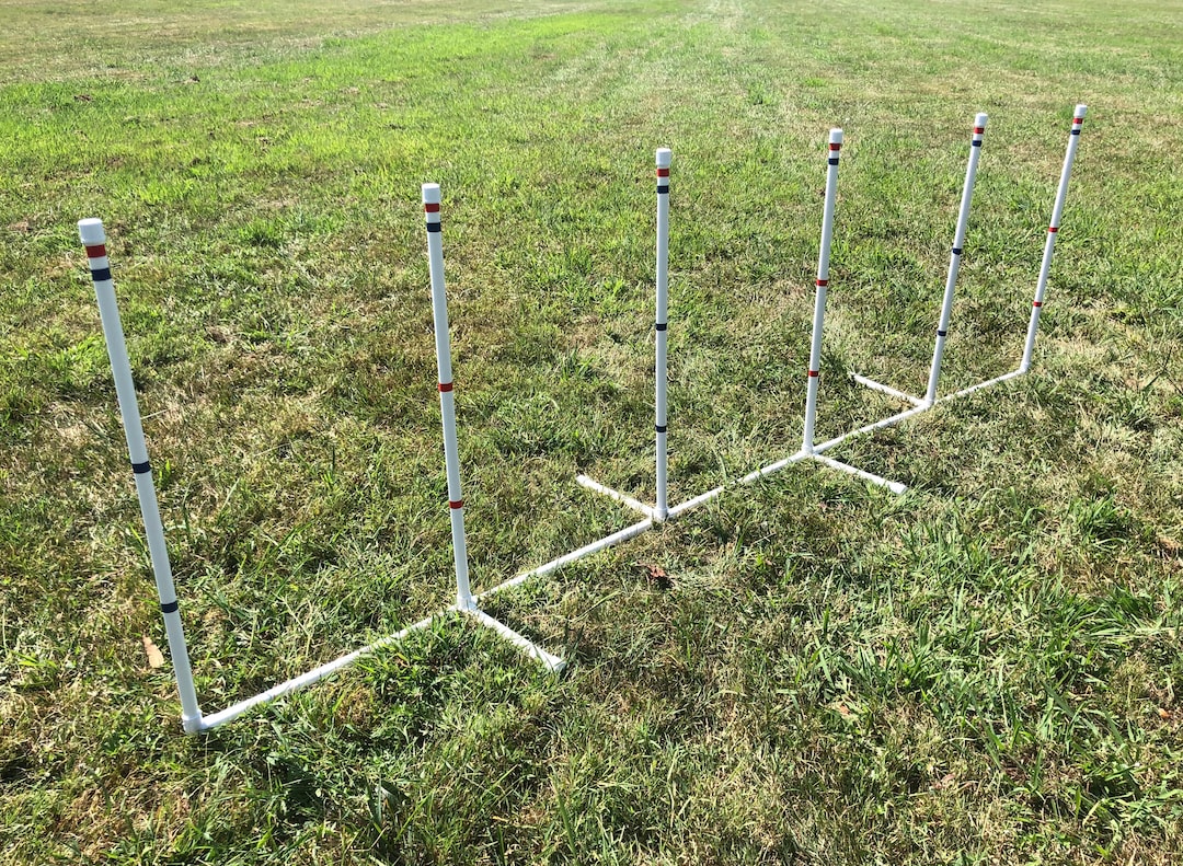 Dog Agility Equipment Training Weave Poles, Straight, Fixed, Portable ...