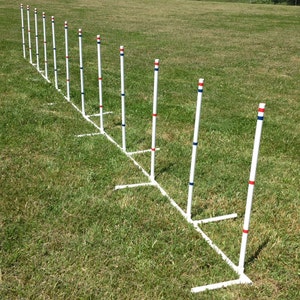 Ama-zing Dog Agility Training Weave Poles Straight, Slant, Channeled ...