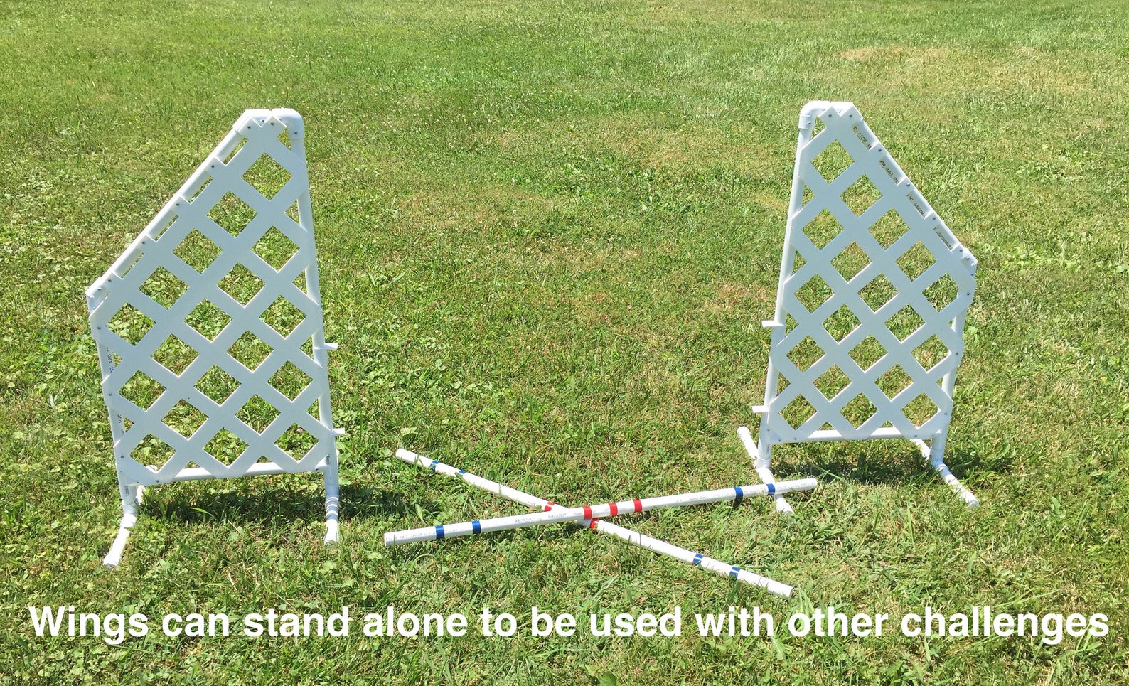 Dog Agility Training Wing Jump Slanted Style FREE US Shipping. Buy More ...