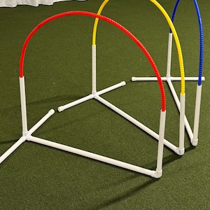 NADAC, CPE Speedway and Updog Agility Equipment Hoop **free US Shipping ...