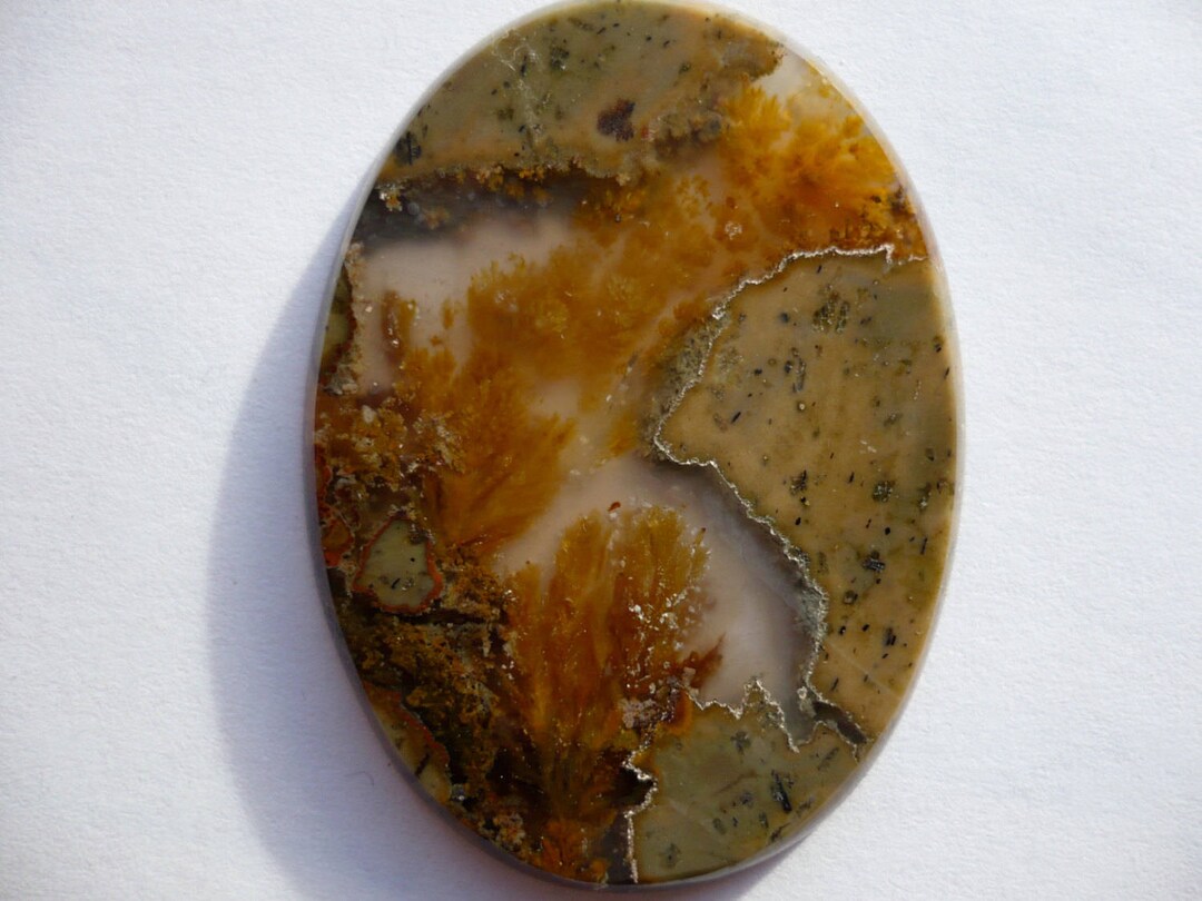 Huge Texas Canary Plume From the Woodward Ranch Flat Cab - Etsy