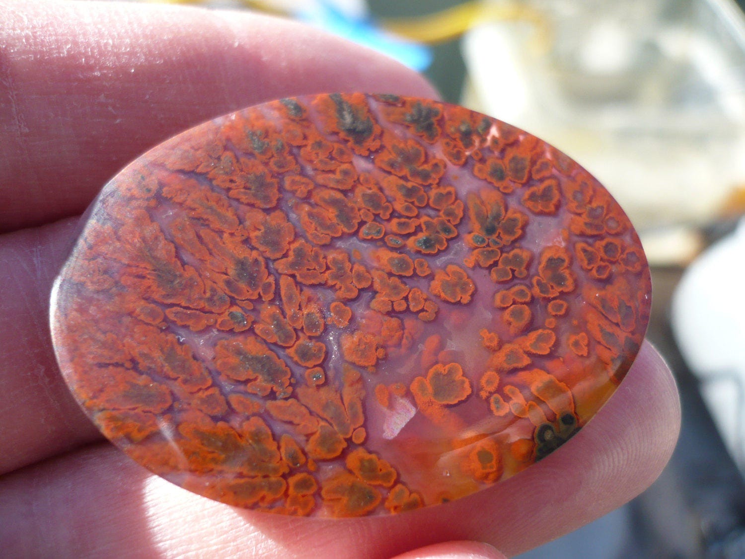 Red Plume Agate From the Woodward Ranch, Large Flat Cab - Etsy