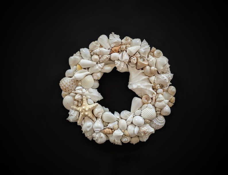 Wreath Shell Wreath Sea Shell Wreath White Shell Wreath - Etsy