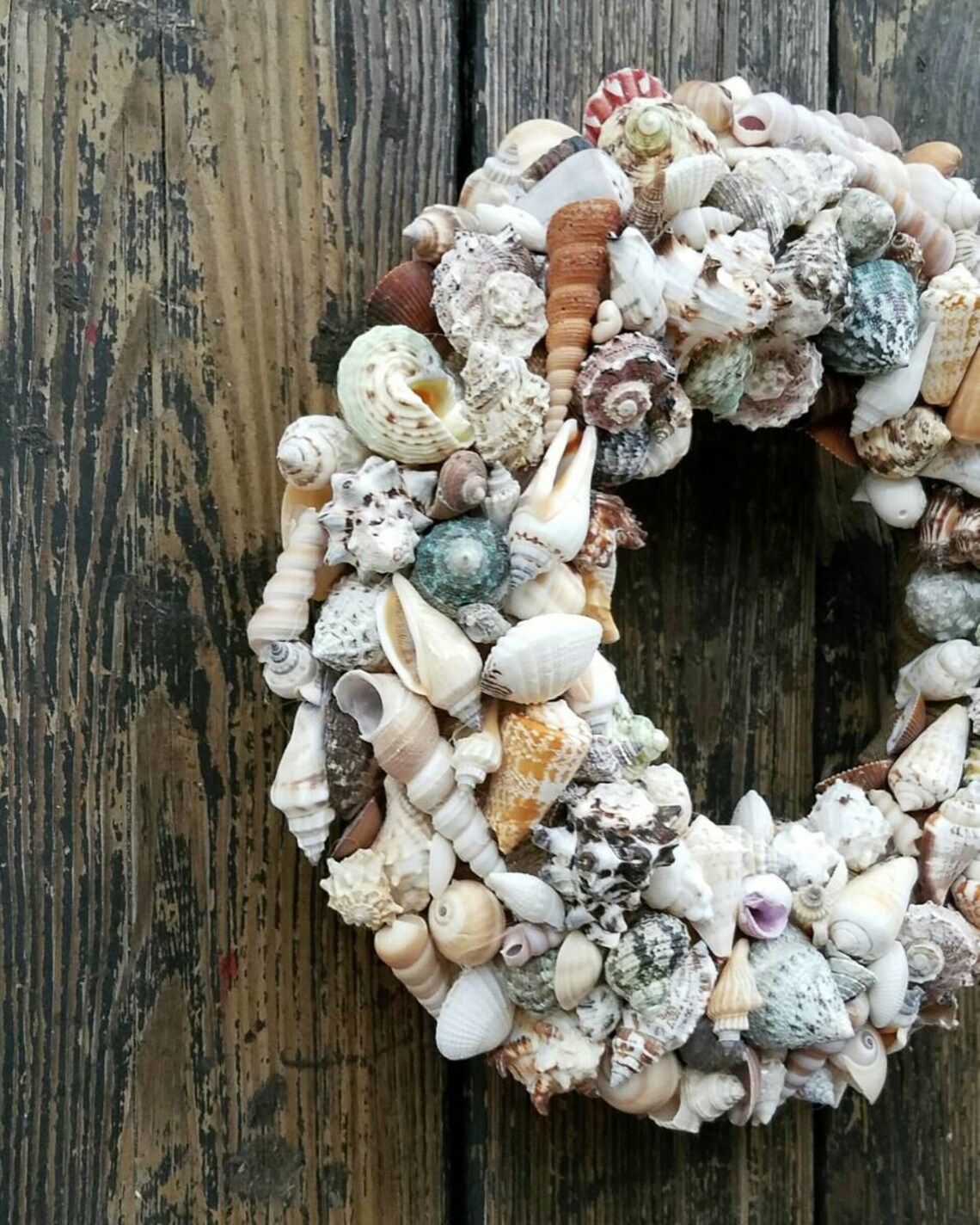 Wreath Shell Wreath Sea Shell Wreath - Etsy