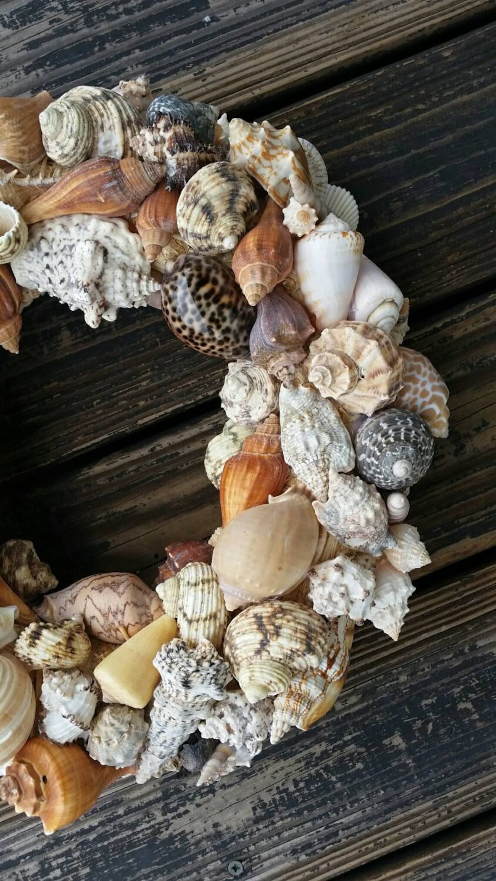 Shell Wreath Sea Shell Wreath Beach Wreath - Etsy