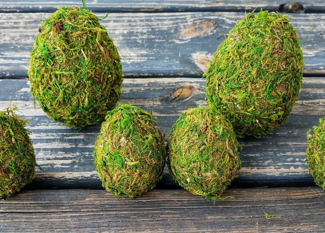 Decorative Easter Eggs Rustic Eggs Moss Covered Eggs | Etsy