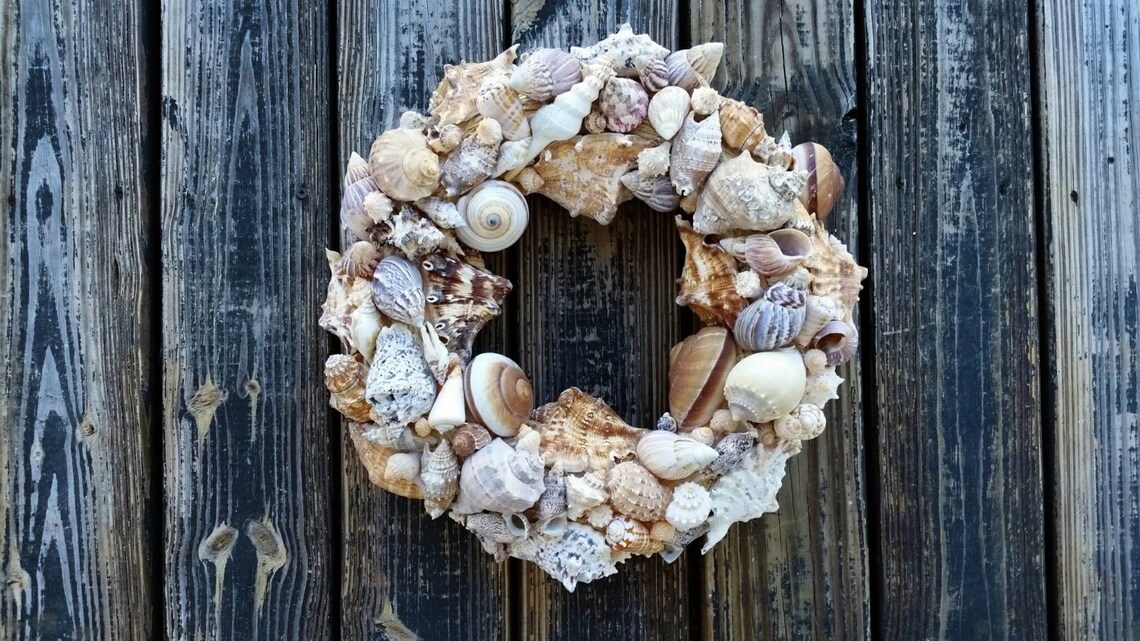 Shell Wreath Sea Shell Wreath Beach Wreath - Etsy