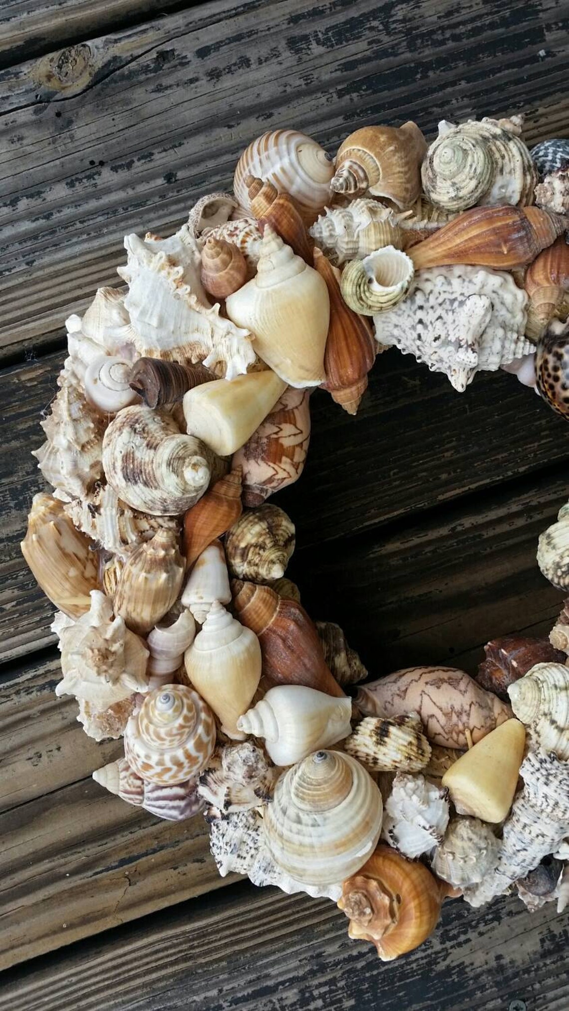 Shell Wreath Sea Shell Wreath Beach Wreath - Etsy