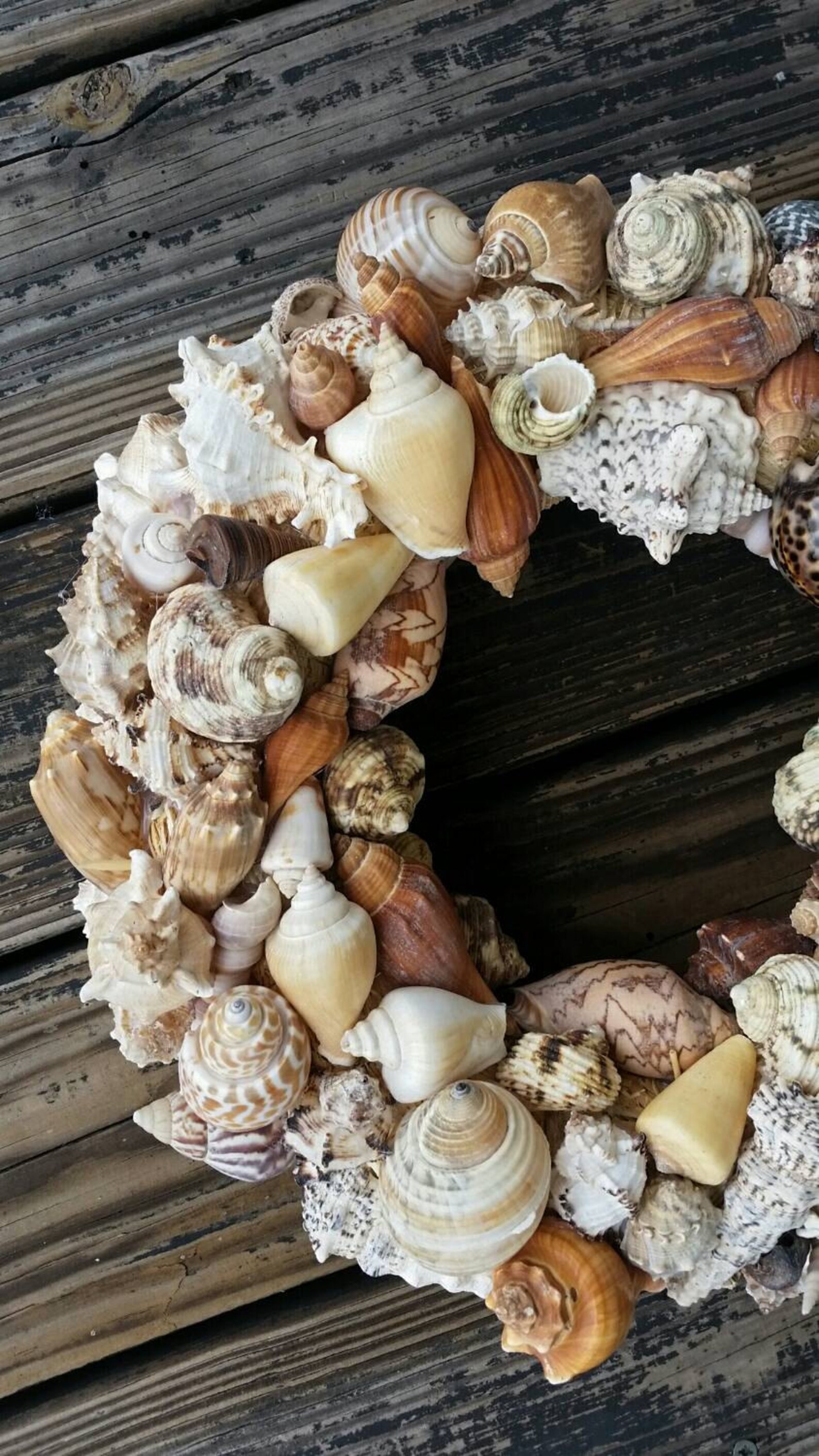 Shell Wreath Sea Shell Wreath Beach Wreath - Etsy