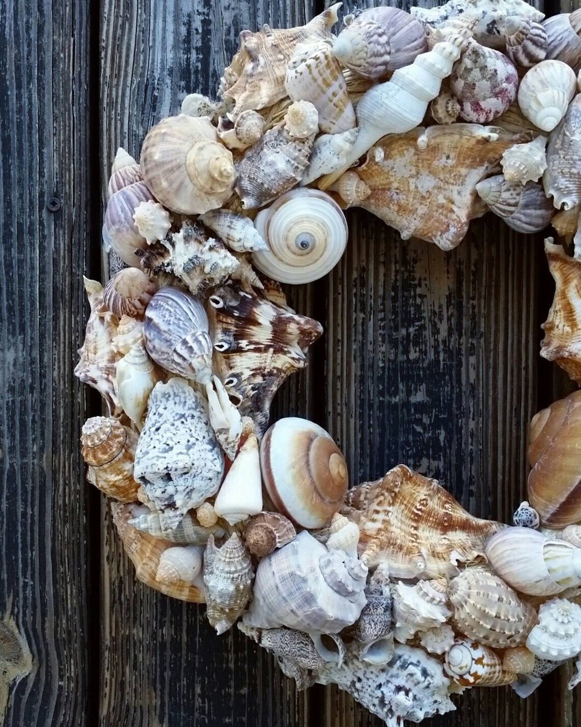 Shell Wreath Sea Shell Wreath Beach Wreath - Etsy