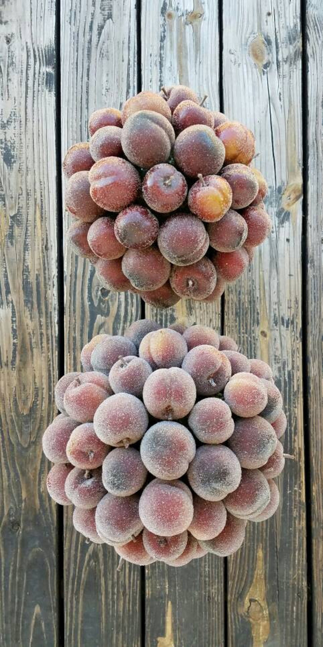 Sugared Fruit Christmas Topiary: Holiday Mantel Decor - Etsy