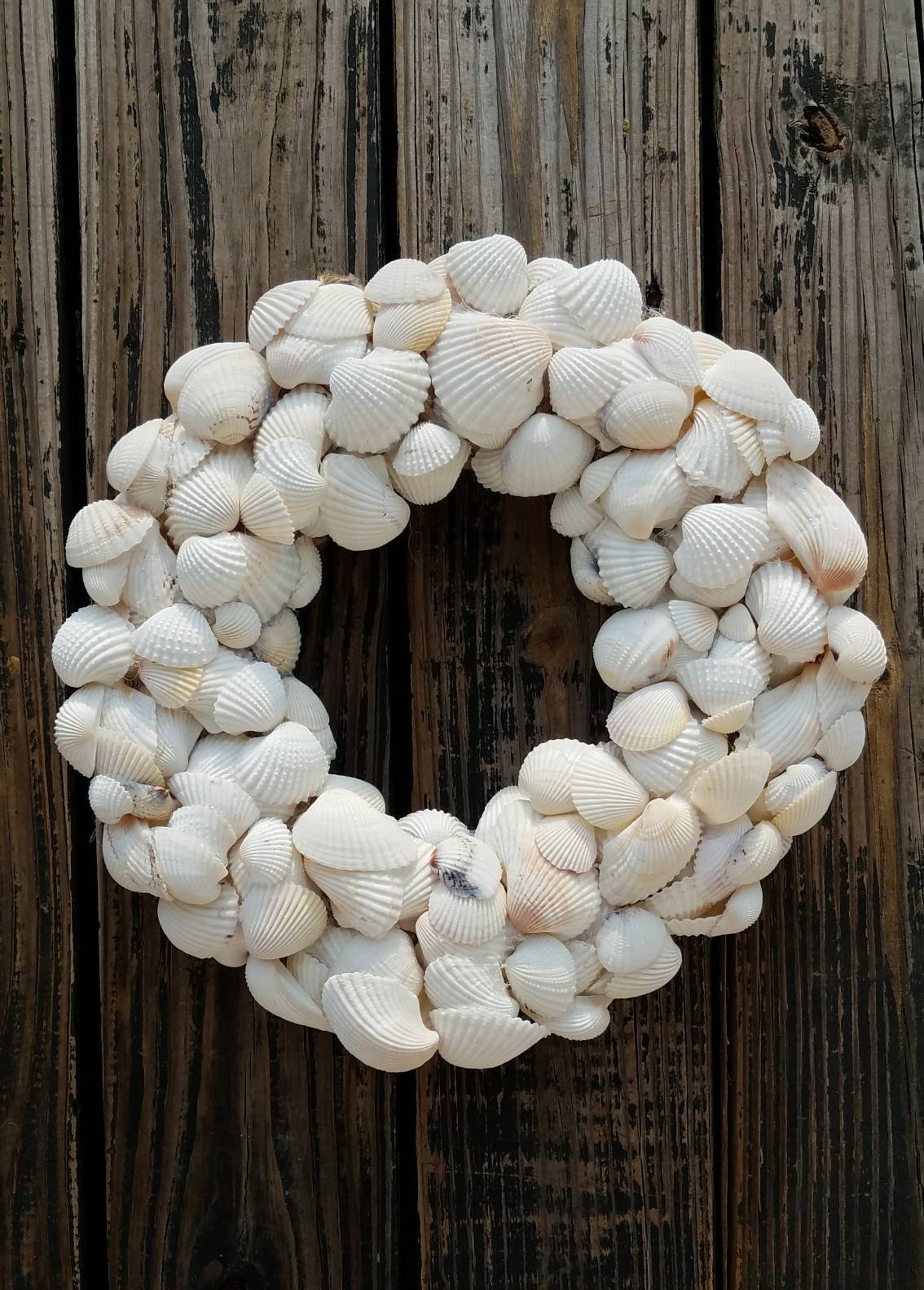 Wreath Shell Wreath Sea Shell Wreath - Etsy
