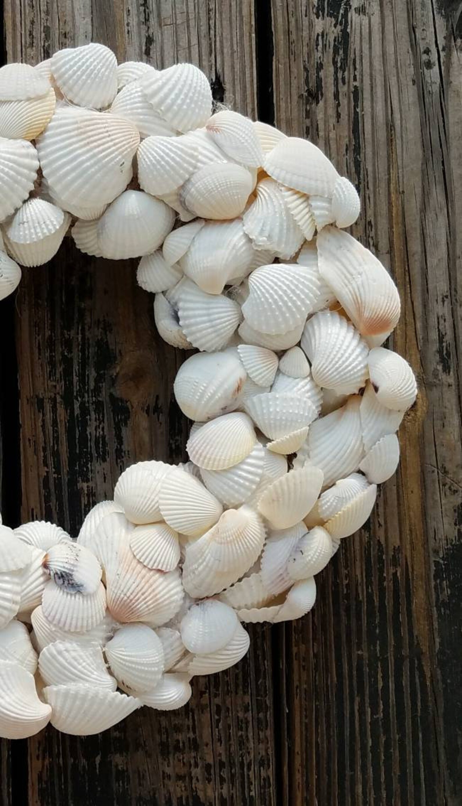 Wreath Shell Wreath Sea Shell Wreath - Etsy