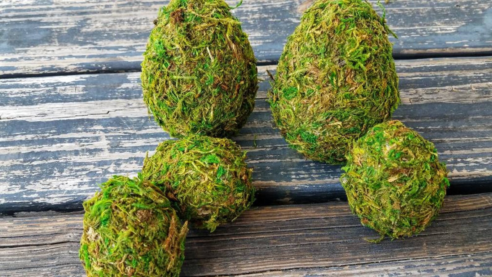 Decorative Easter Eggs Rustic Eggs Moss Covered Eggs | Etsy