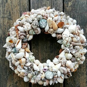 Wreath Shell Wreath Sea Shell Wreath - Etsy