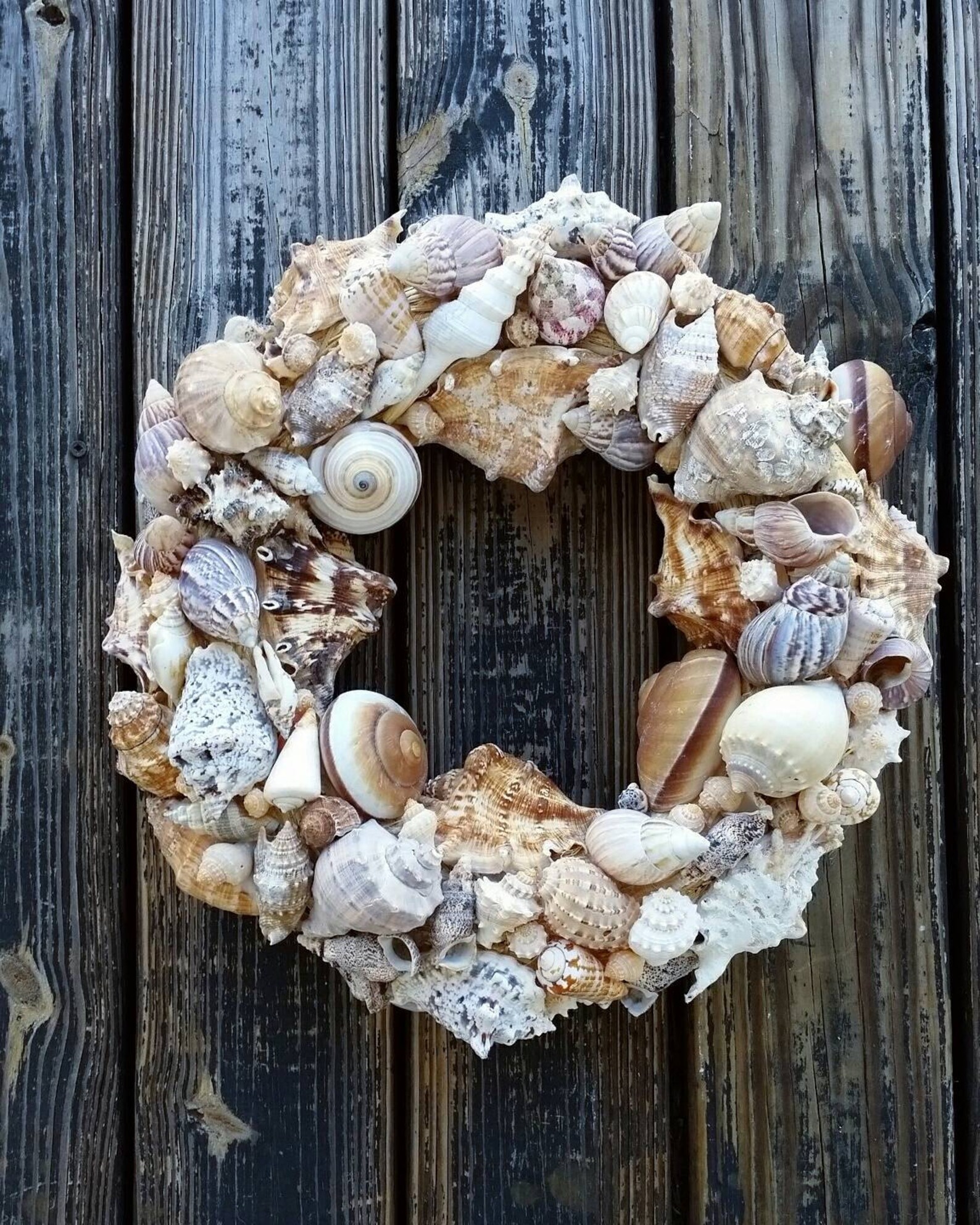 Shell Wreath Sea Shell Wreath Beach Wreath - Etsy