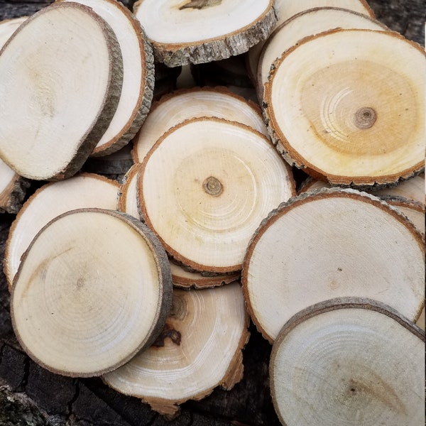 Bulk Wood Slices - Etsy
