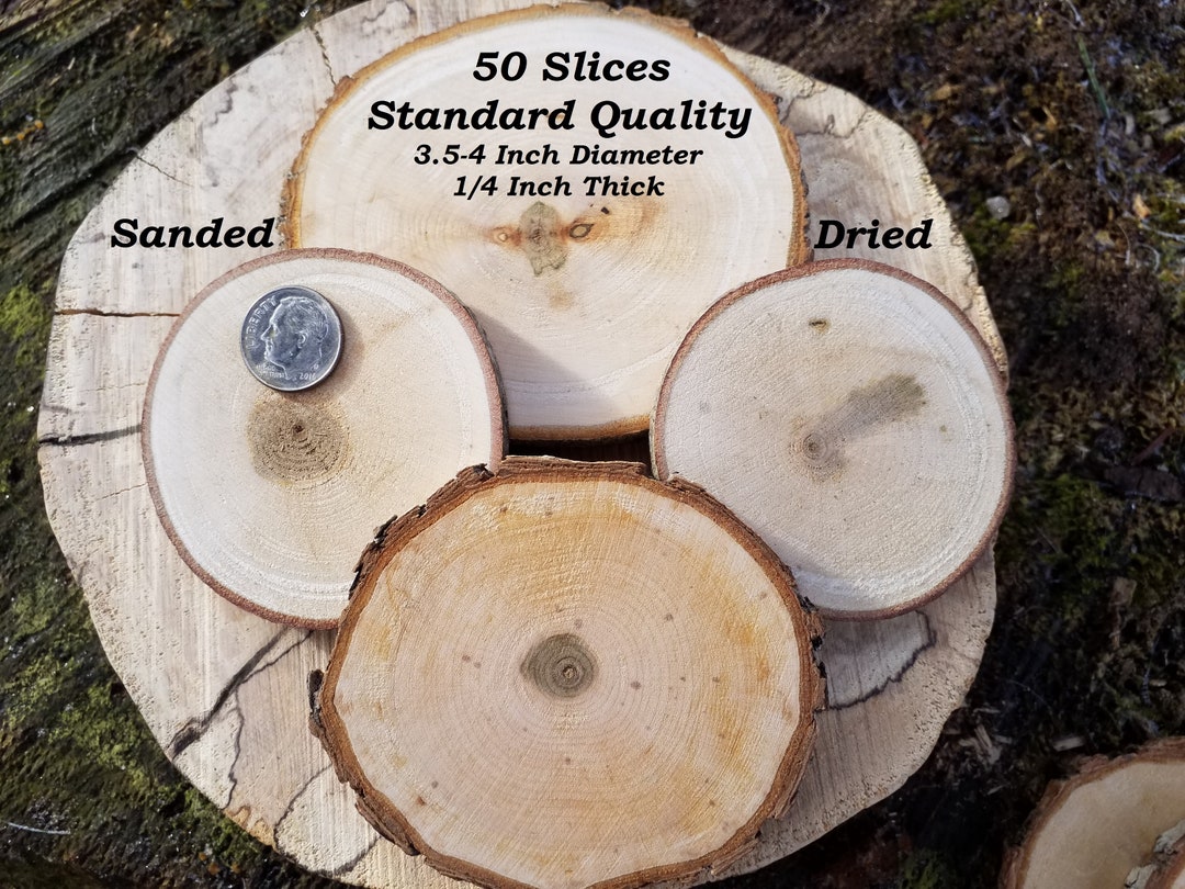 50 Extra Large Tree Slices-standard Quality-dried and Sanded-painting ...