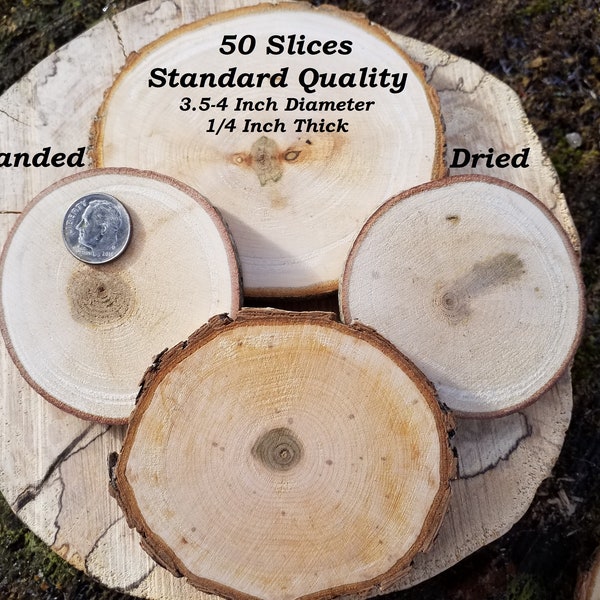 Tree Slices - Etsy