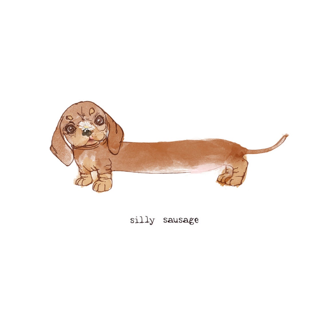 Silly Sausage Dog Illustrated Print - Personalised With Your Own Dogs ...
