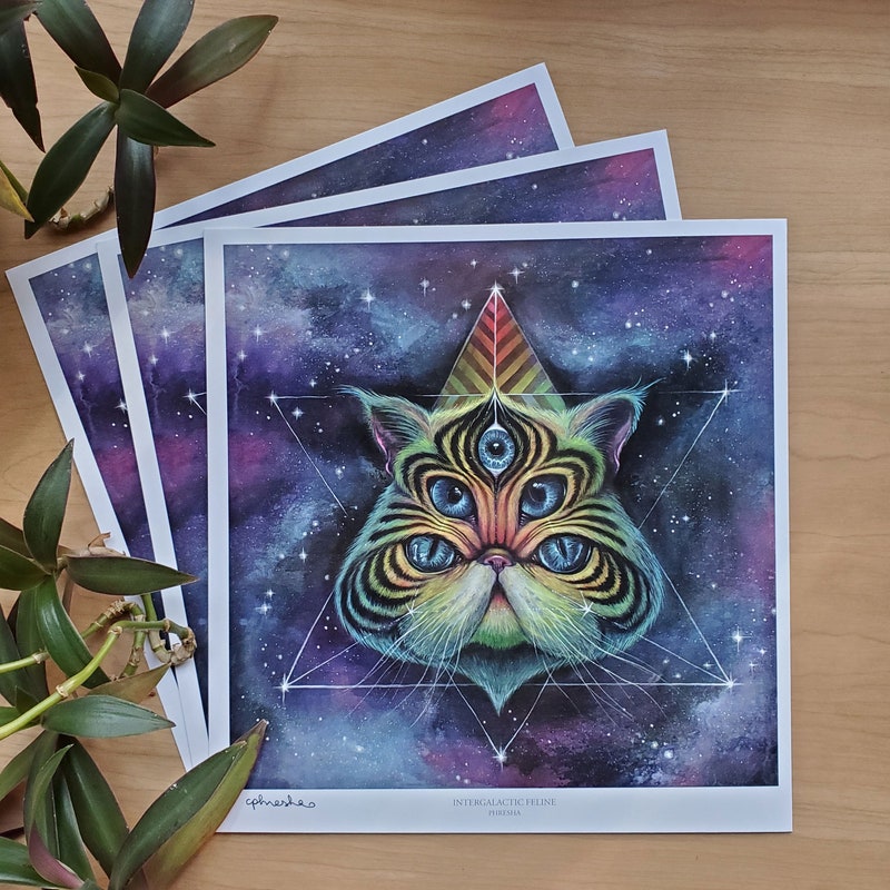 Trippy Cat - Etsy
