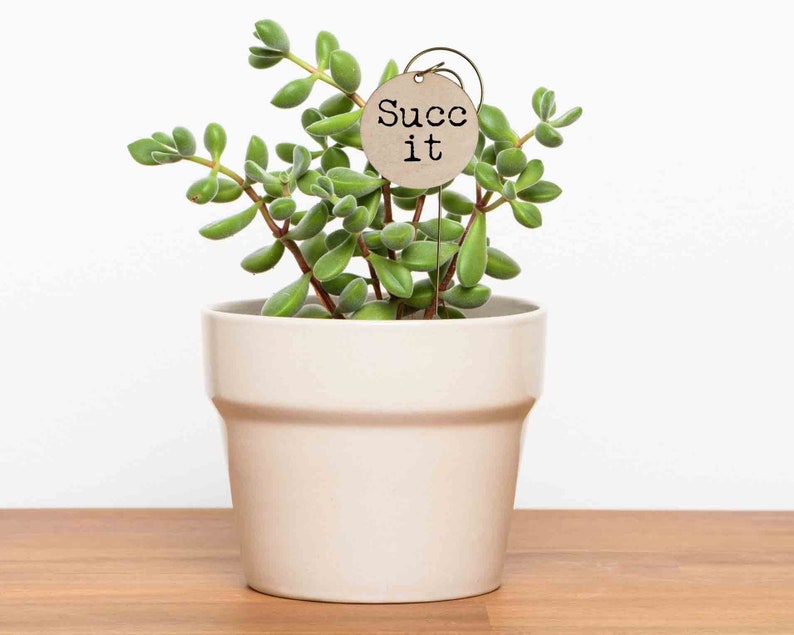 Plant Puns set of 5 Plant Stakes Plant Quotes Funny - Etsy