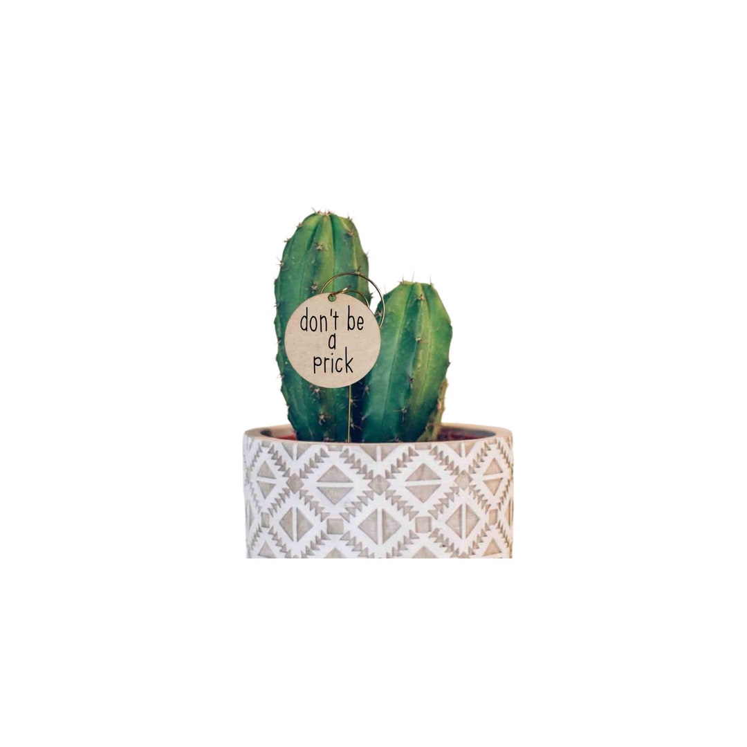 Set of 5 Funny Plant Pun Garden Markers | Plant Stakes | Funny Plant ...