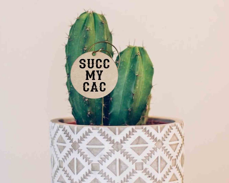 Set of 5 Funny Plant Pun Garden Markers Plant Stakes Funny | Etsy