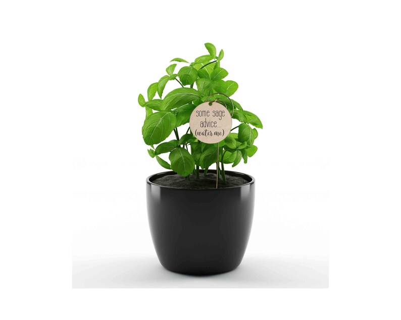 Plant Puns set of 5 Plant Stakes Plant Quotes Funny - Etsy