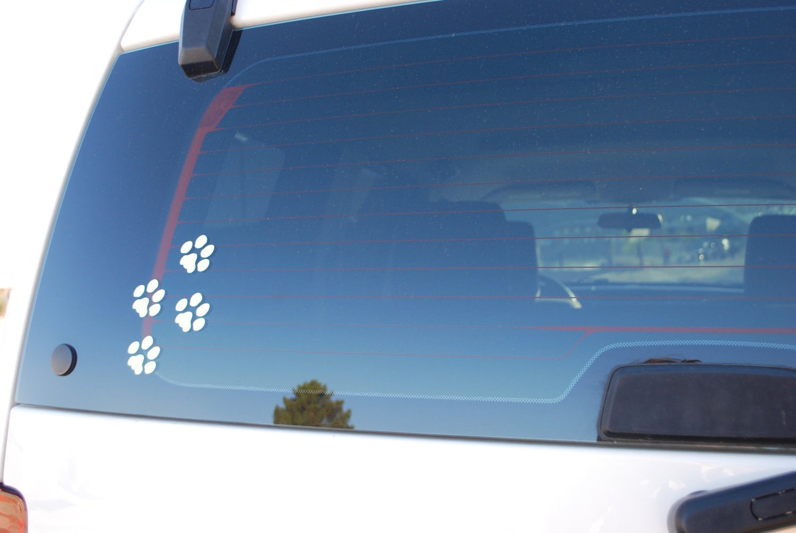 Paw Print Decal for Car Window Removable Paw Prints Custom - Etsy