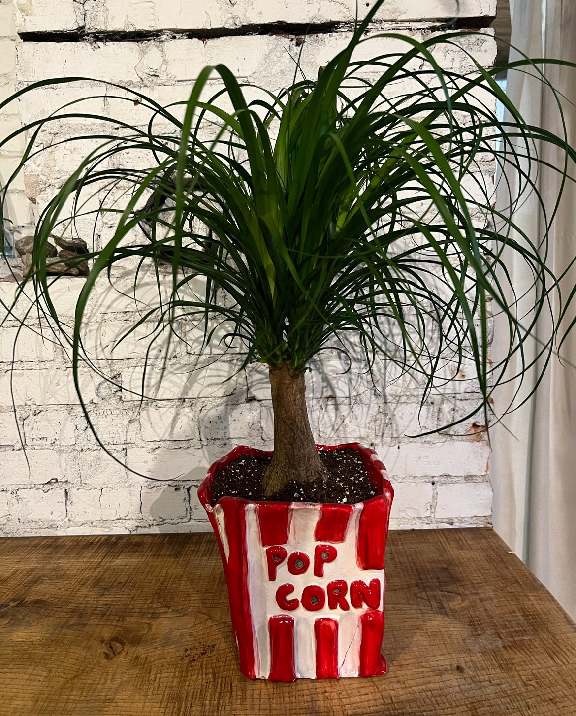 Handmade Ceramic Movie Theatre Popcorn Planter , Hand Glazed and Fired ...